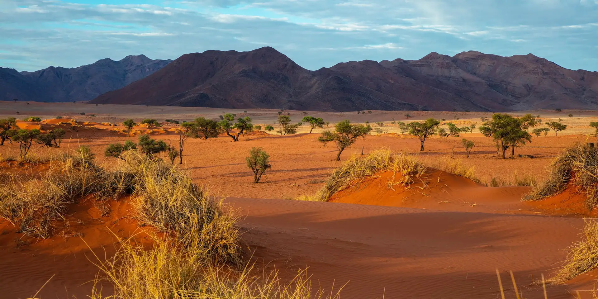 Namibia - Global payroll simplified – PeoplePay Global